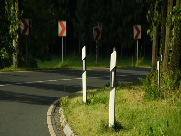 Understanding Different Names for Traffic Delineators in America