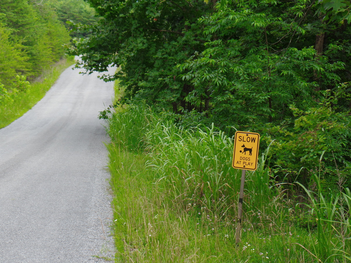 Order Traffic Signs for Rural Roads: Safety in Less Populated Area