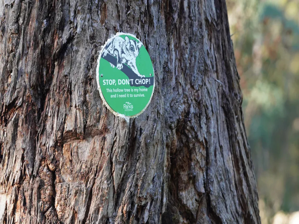 Soft Language in Australian Signs and Its Impact on Public