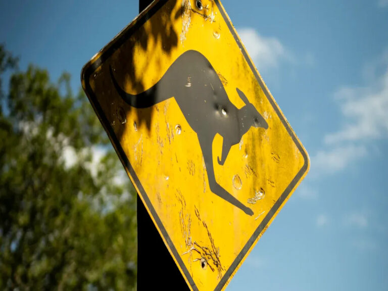 A Guide to Traffic Sign Size Regulations in Each Australian State ...