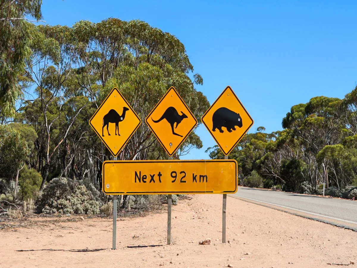Correctly Interpret Australian Warning Sign Codes in 1742.2