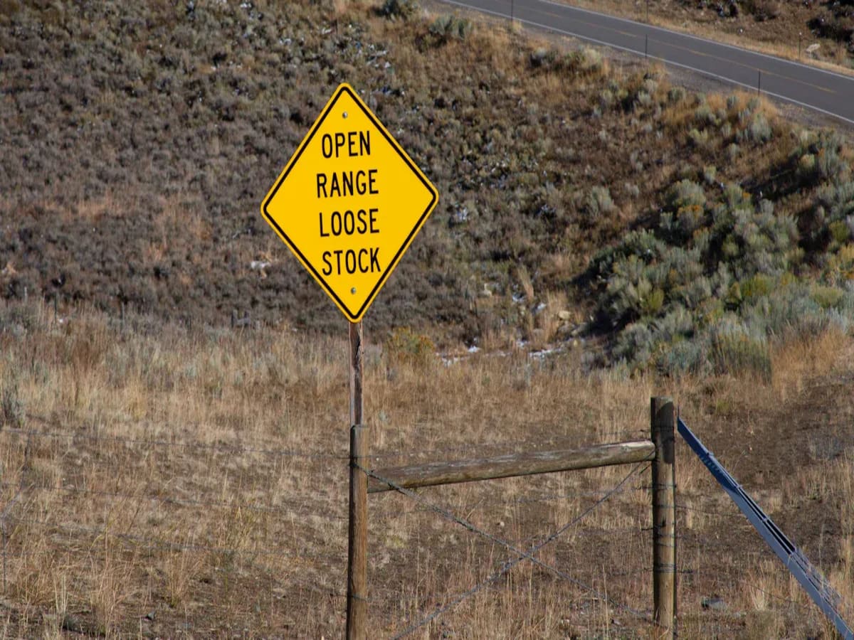 Loose Gravel Road Sign: Melhorando a segurança em superfícies instáveis