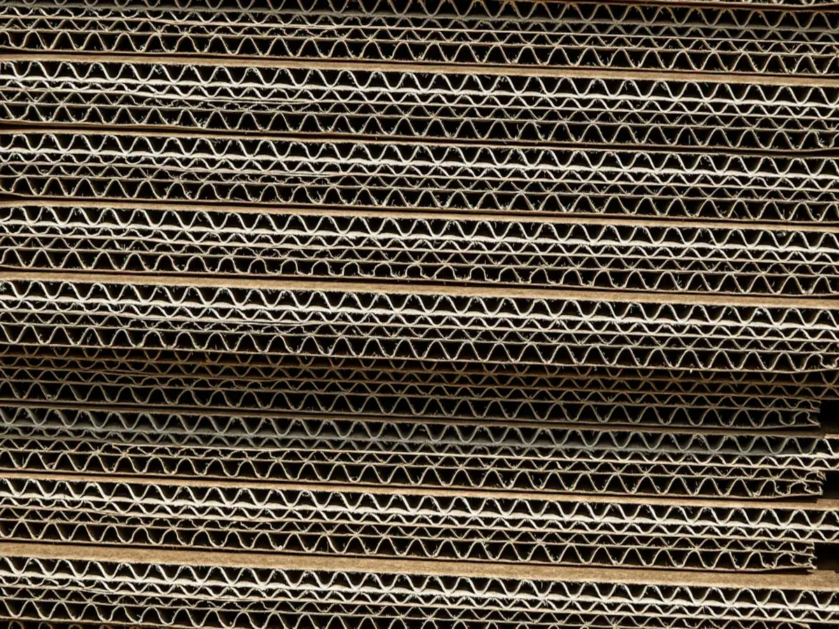 Why Choose Corrugated Plastic Sign Board for Your Next Project